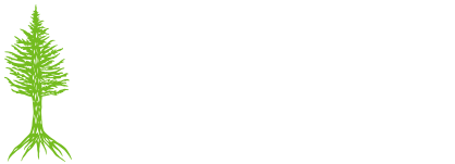 Large Tree Pruning - Deep Roots Tree Service, Anacortes, Skagit County